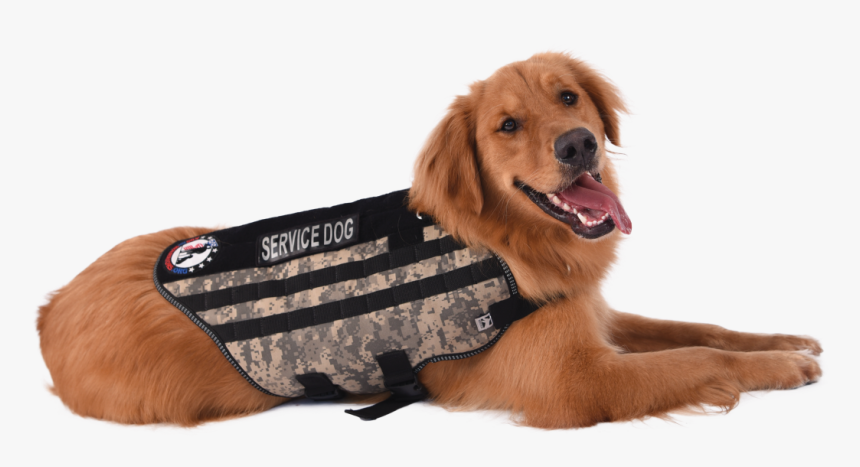 Service Dog Png, Transparent Png , Transparent Png Image - PNGitem