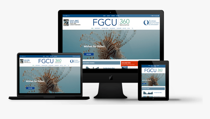 Fgcu Logo Png, Transparent Png , Transparent Png Image - PNGitem