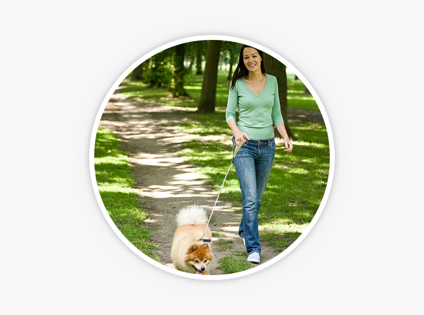 Service Dog Png, Transparent Png , Transparent Png Image - PNGitem