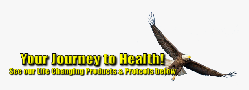 Youngevity Logo Png, Transparent Png , Transparent Png Image - PNGitem