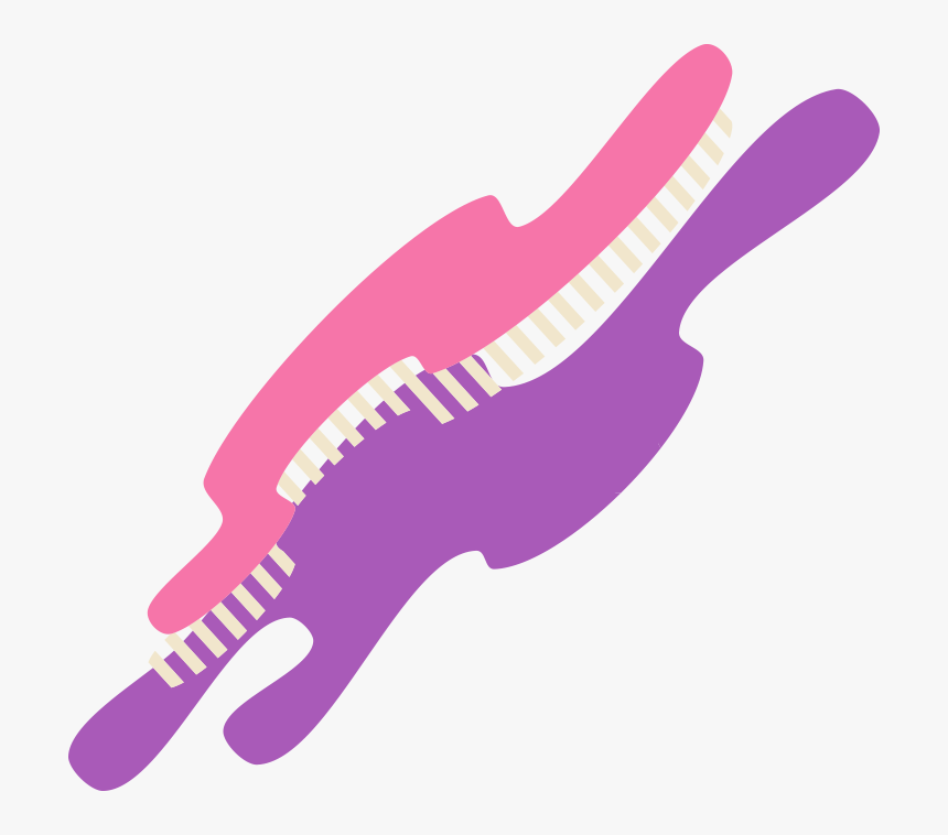 Slider Png, Transparent Png , Transparent Png Image - PNGitem