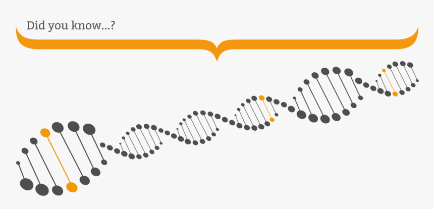Genes Png, Transparent Png , Transparent Png Image - PNGitem