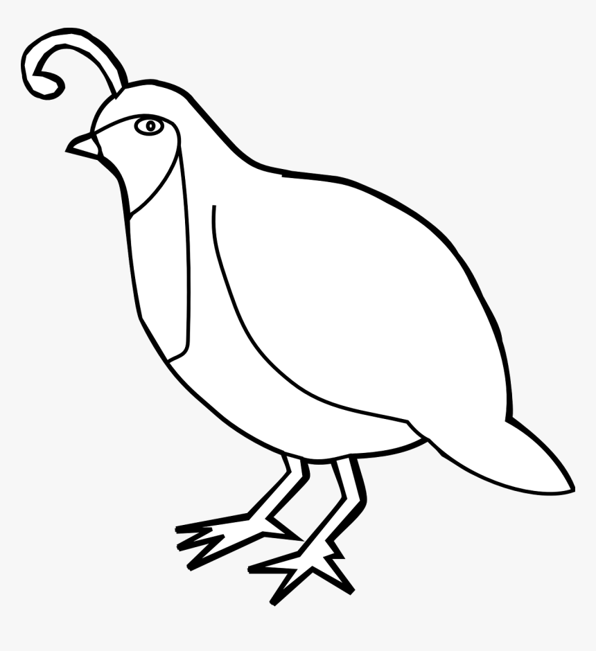 Quail Png, Transparent Png , Transparent Png Image - PNGitem
