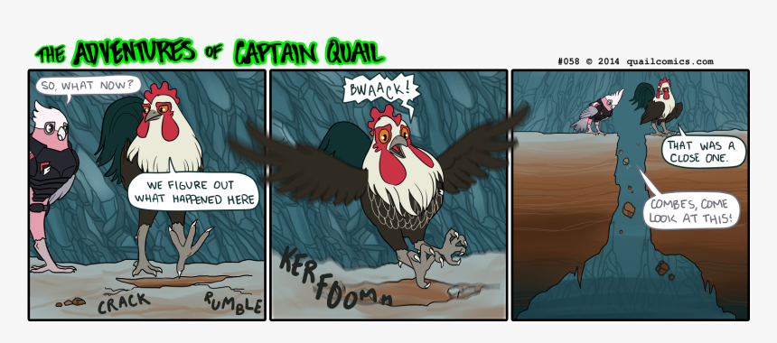 Quail Png , Png Download, Transparent Png , Transparent Png Image - PNGitem