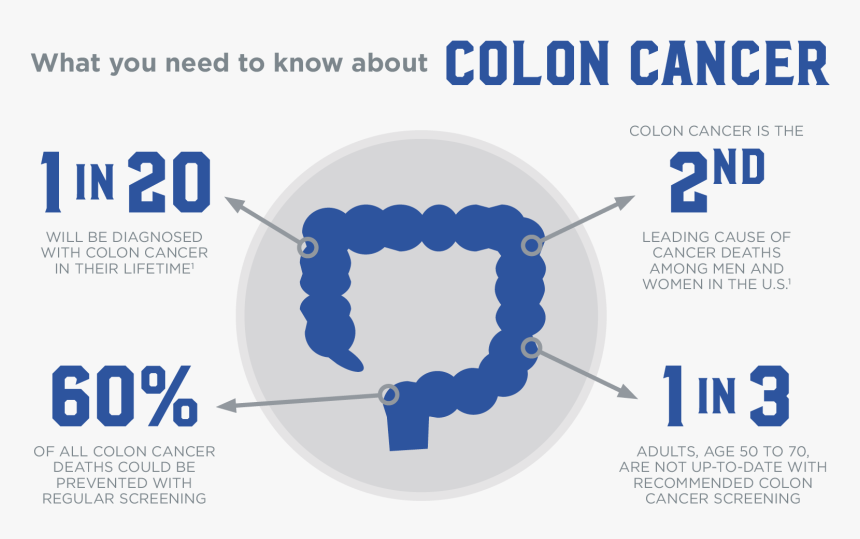 Colon Cancer Infographic, HD Png Download , Transparent Png Image - PNGitem