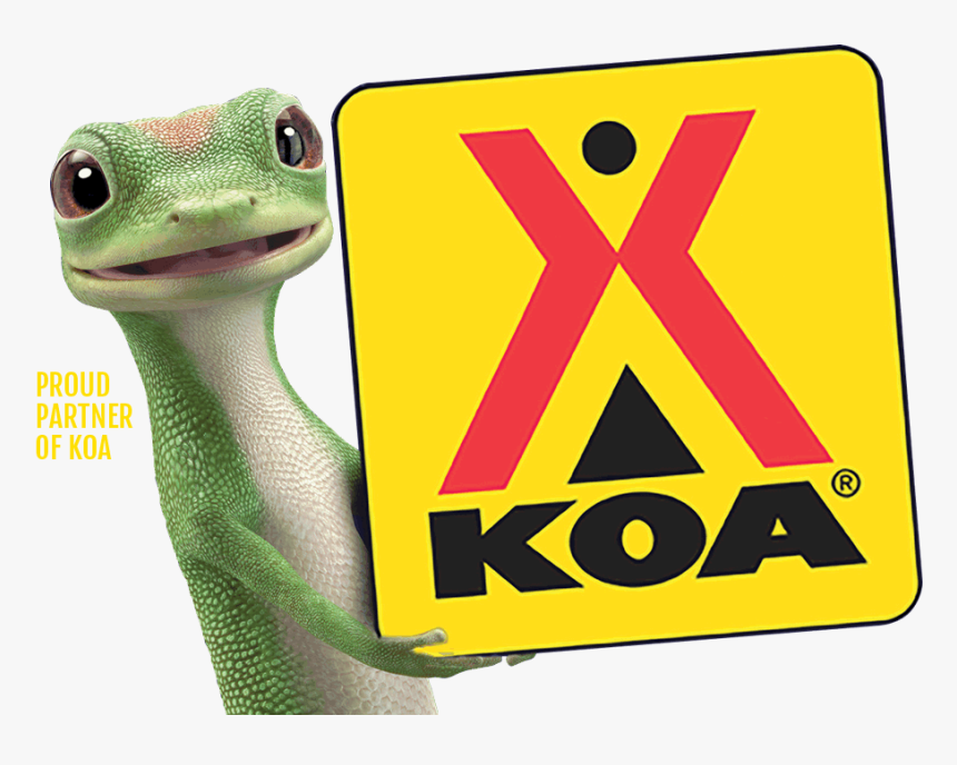 Transparent Gecko Car Insurance, HD Png Download , Transparent Png ...