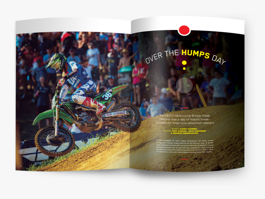 Geico Png, Transparent Png , Transparent Png Image - PNGitem