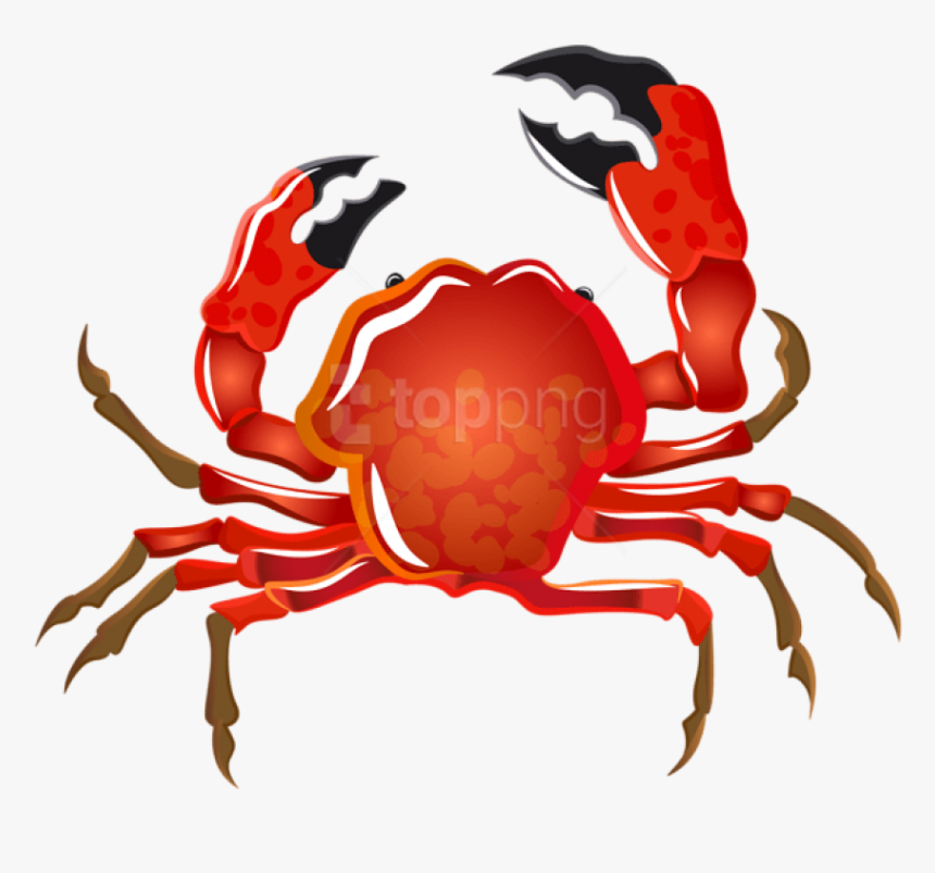 Crab Clipart Png, Transparent Png , Transparent Png Image - PNGitem