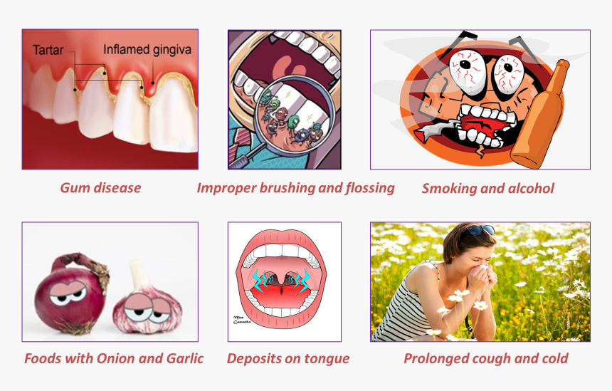 Common Causes Of Bad Breath Or Halitosis, HD Png Download , Transparent ...