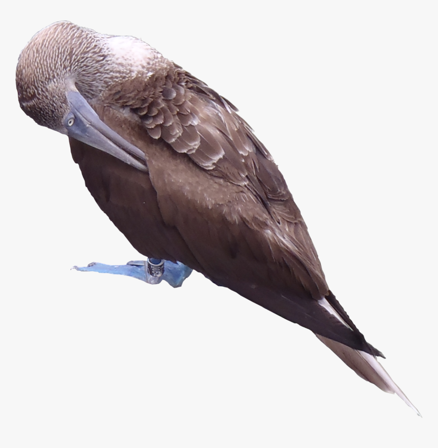 Blue Texture Png, Transparent Png , Transparent Png Image - PNGitem