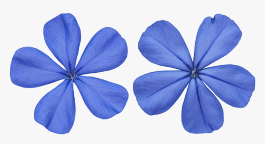 Blue Texture Png, Transparent Png , Transparent Png Image - PNGitem