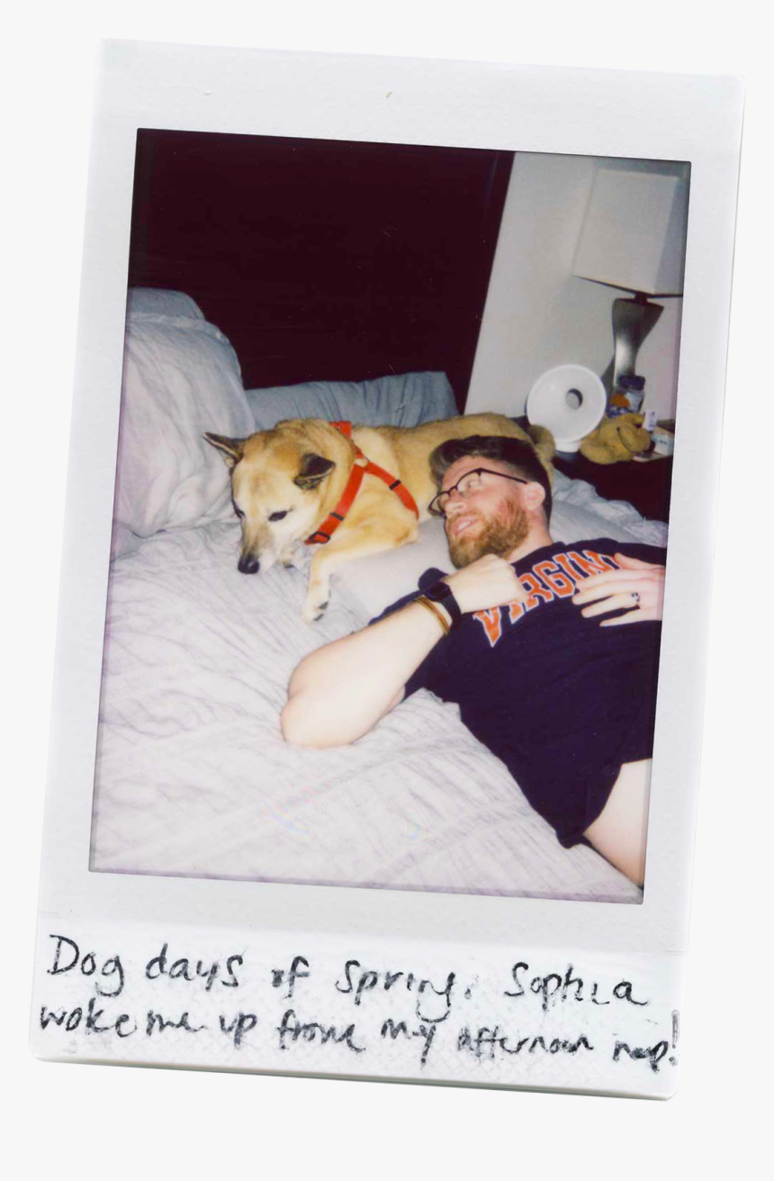 Bryce Harper Png, Transparent Png , Transparent Png Image - PNGitem