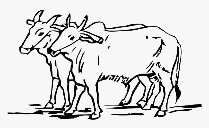 Ox Png, Transparent Png , Transparent Png Image - PNGitem