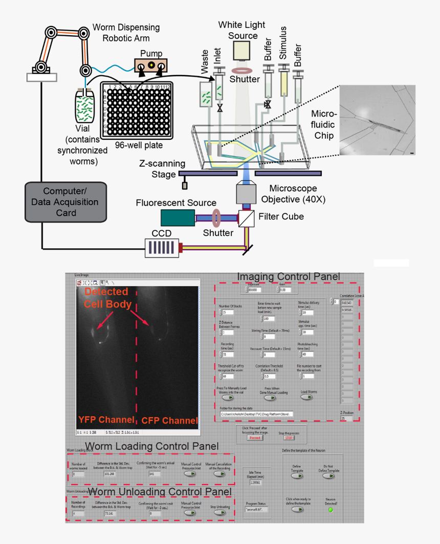 Computer Chip Png, Transparent Png , Transparent Png Image - PNGitem