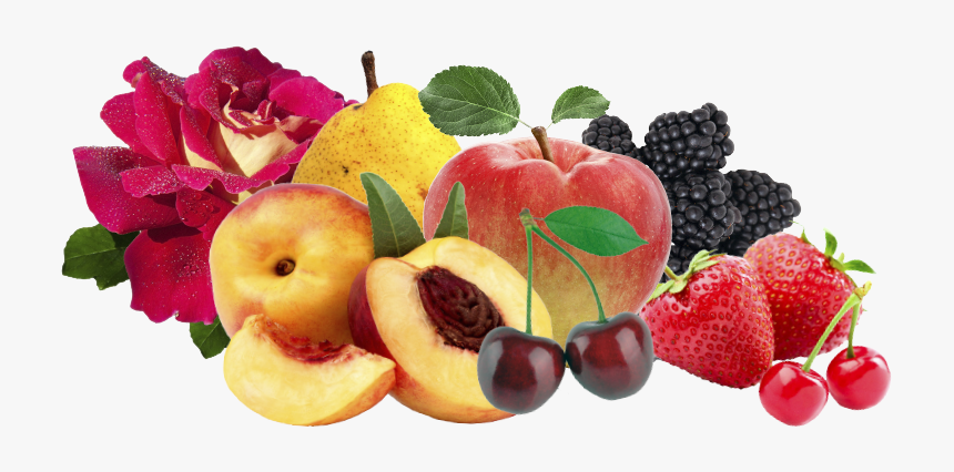 Photo Collage Png, Transparent Png , Transparent Png Image - PNGitem