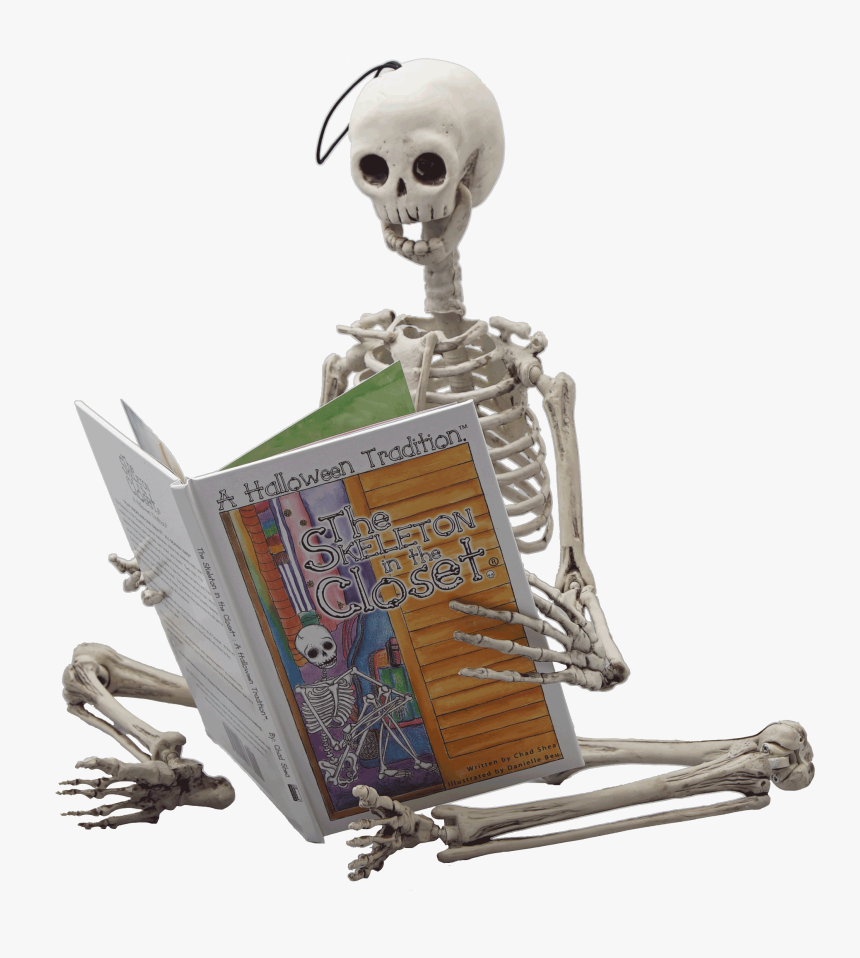 3 Foot Pose-able Skeleton Doll, HD Png Download , Transparent Png Image ...