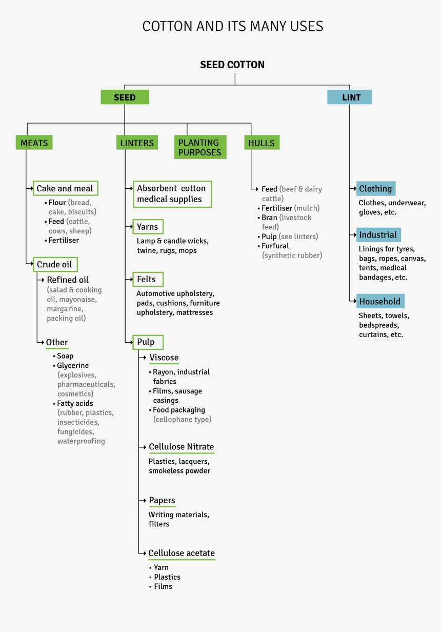 Uses Of Cotton, HD Png Download , Transparent Png Image - PNGitem