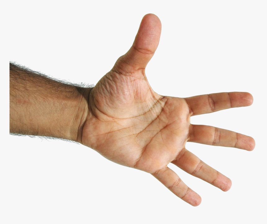 Fingers Png Free Background, Transparent Png , Transparent Png Image ...