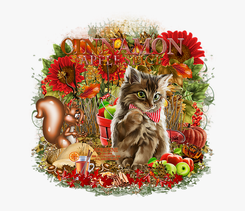 Transparent Happy Cat Png, Png Download , Transparent Png Image - PNGitem