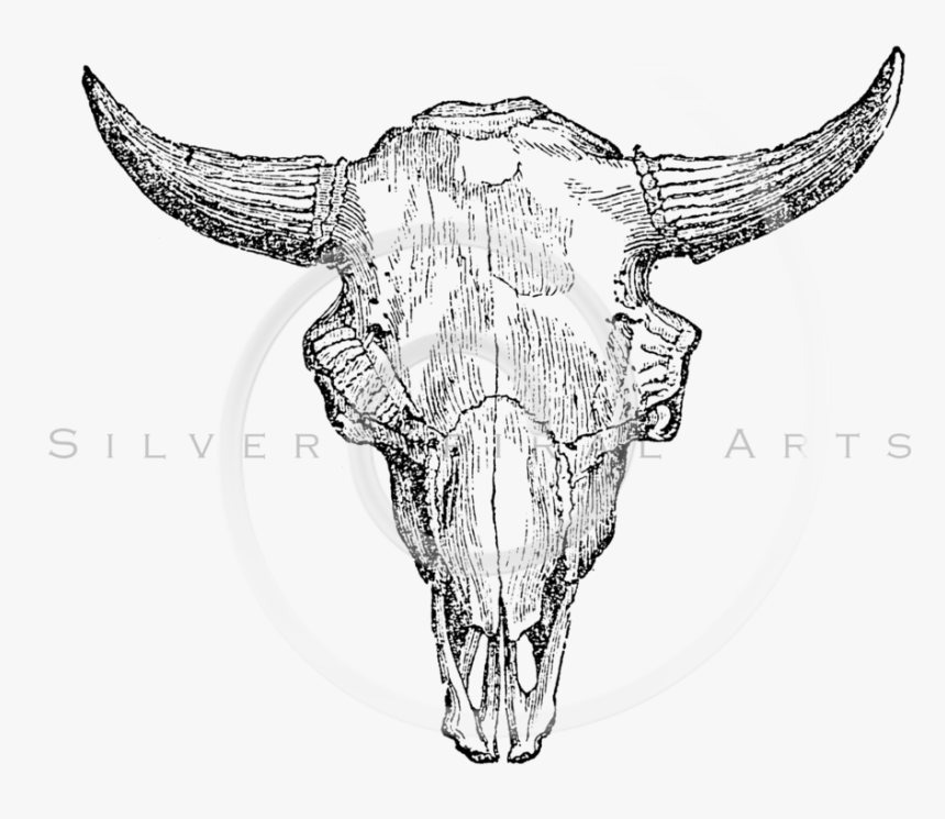 Aztec Clipart Cow Skull, HD Png Download , Transparent Png Image - PNGitem