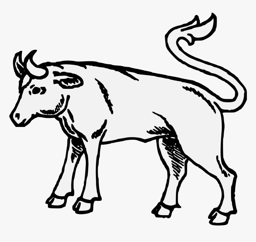 Bull Horn Png, Transparent Png , Transparent Png Image - PNGitem