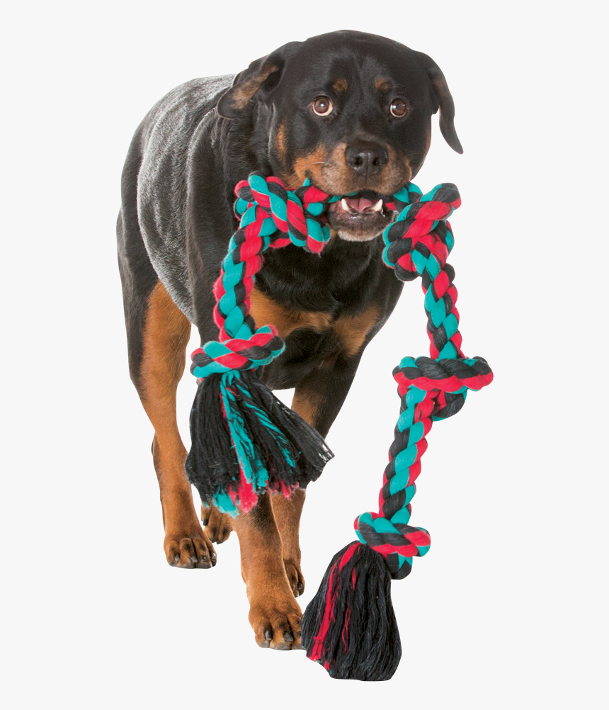 Dog Playing Png Toy, Transparent Png , Transparent Png Image - PNGitem