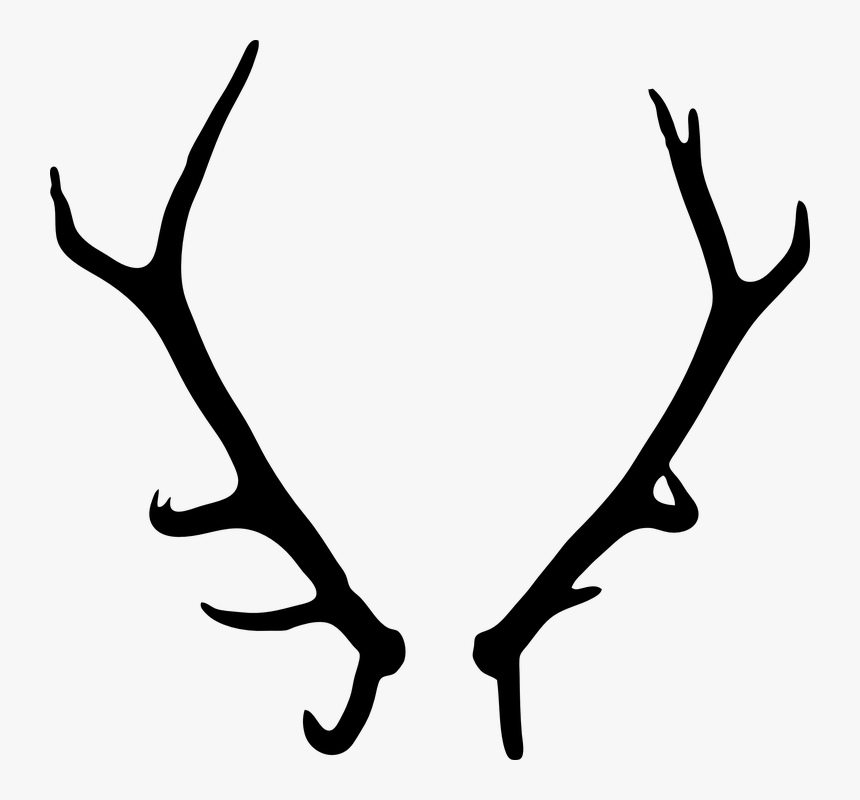 Antler Clipart Wildlife - Transparent Background Antlers Png, Png ...