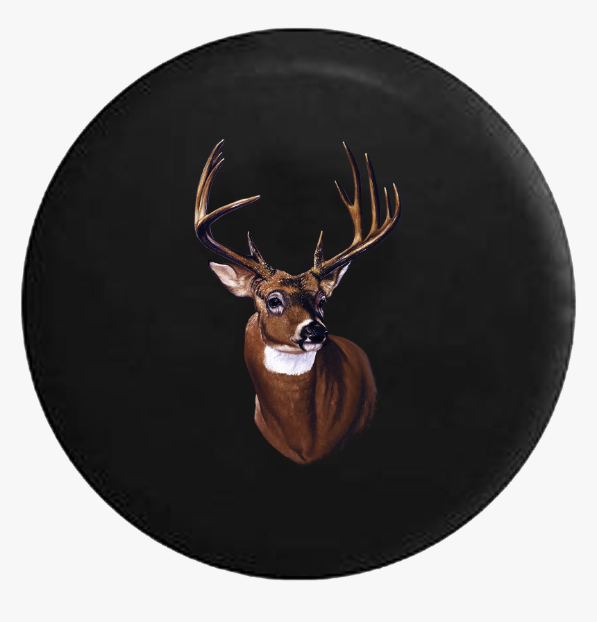Big Buck Hunting White Tail Deer Antlers Rack - Reindeer, HD Png ...