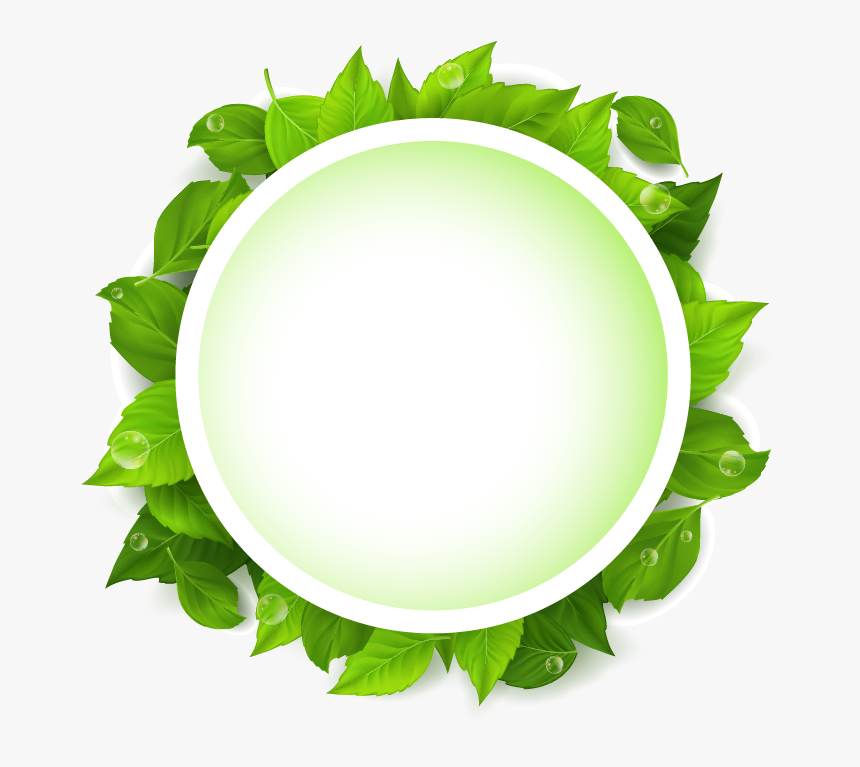 Box Leaf Text Leaves Euclidean Vector Green Clipart - Vector Green Leaf ...