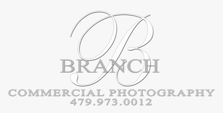 Tyson Logo Png, Transparent Png , Transparent Png Image - PNGitem