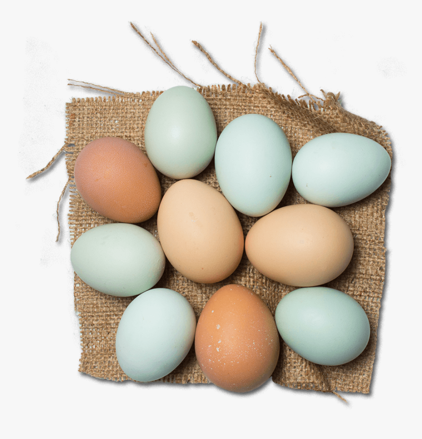 Green And Blue Colored Egg Layer Baby Hens For Sale, HD Png Download ...
