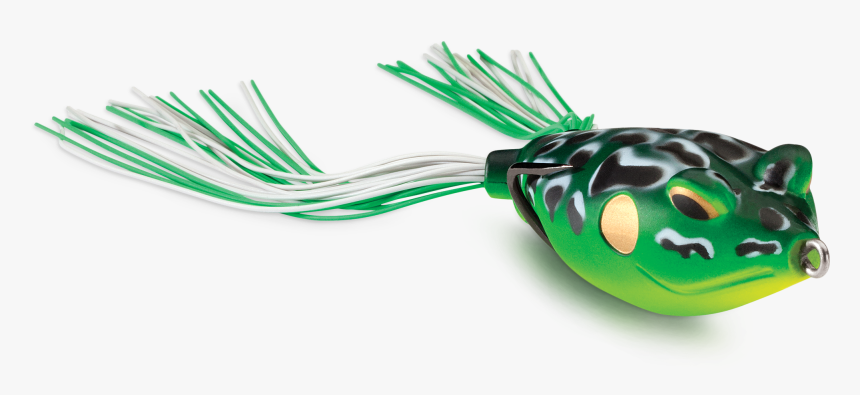 Wednesday Frog Png, Transparent Png , Transparent Png Image - PNGitem