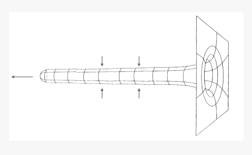 Thin White Line Png, Transparent Png , Transparent Png Image - PNGitem