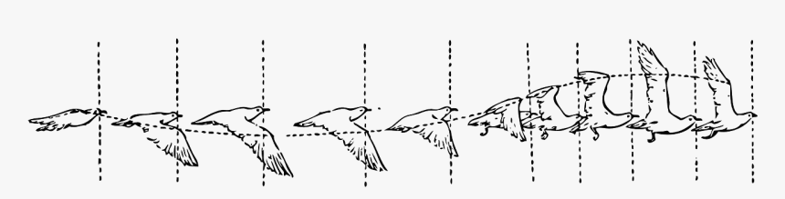 Motion Png, Transparent Png , Transparent Png Image - PNGitem