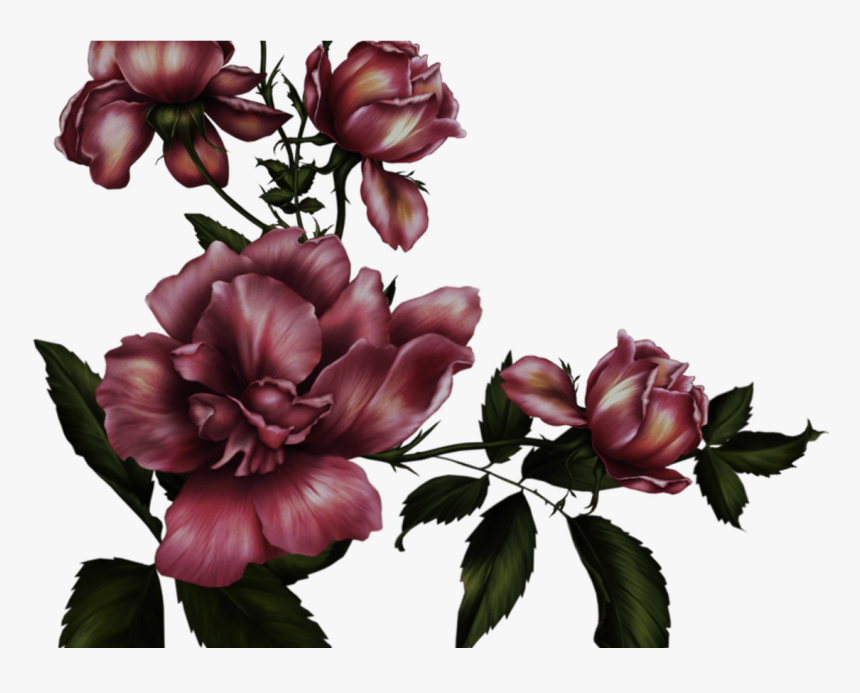 Gothic Rose Transparent Background Png Mart, Png Download , Transparent ...