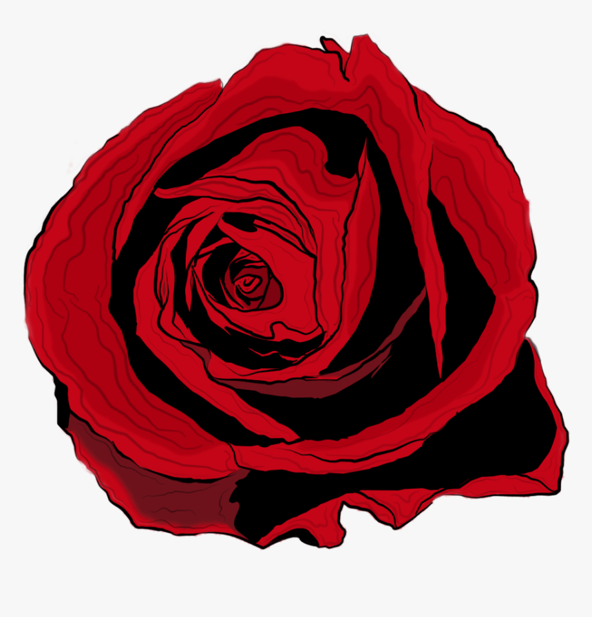 Rose Drawing, HD Png Download , Transparent Png Image - PNGitem