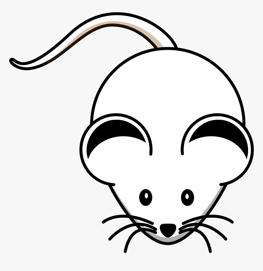 Black Lab Png, Transparent Png , Transparent Png Image - PNGitem