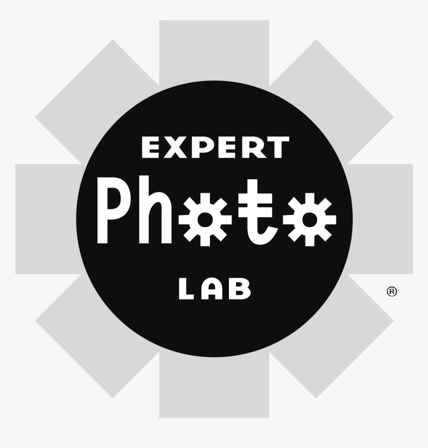 Black Lab Png, Transparent Png , Transparent Png Image - PNGitem