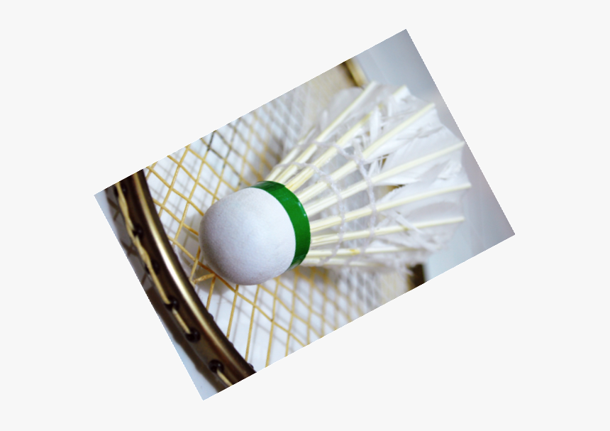 Shuttlecock Png, Transparent Png , Transparent Png Image - PNGitem
