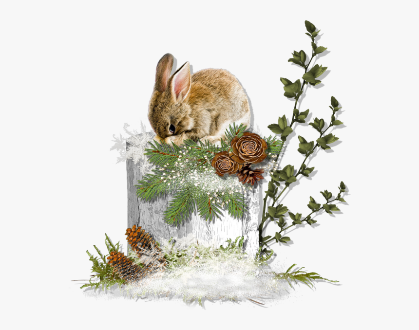 Forest Animals Png, Transparent Png , Transparent Png Image - PNGitem