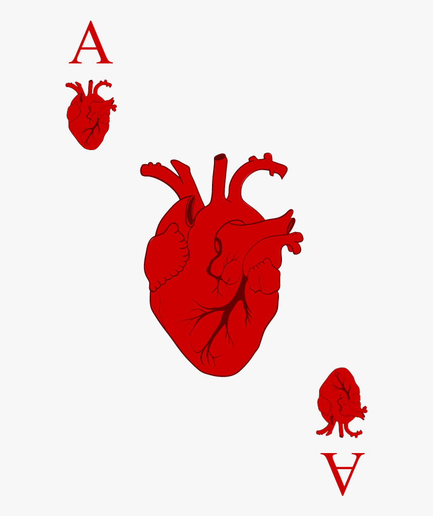 Ace Of Hearts Png, Transparent Png , Transparent Png Image - PNGitem