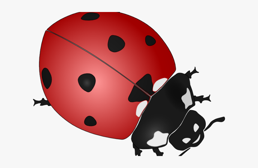 Ladybug Clipart Simple, HD Png Download , Transparent Png Image - PNGitem