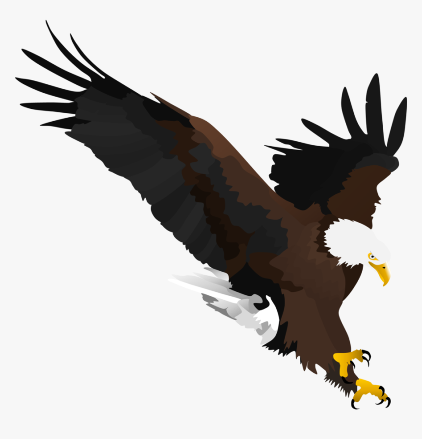 Bald Eagle By Fox-shade - Eagle Shade, HD Png Download , Transparent ...