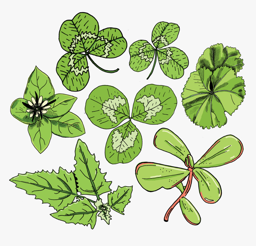 Snack & Draw, HD Png Download , Transparent Png Image - PNGitem