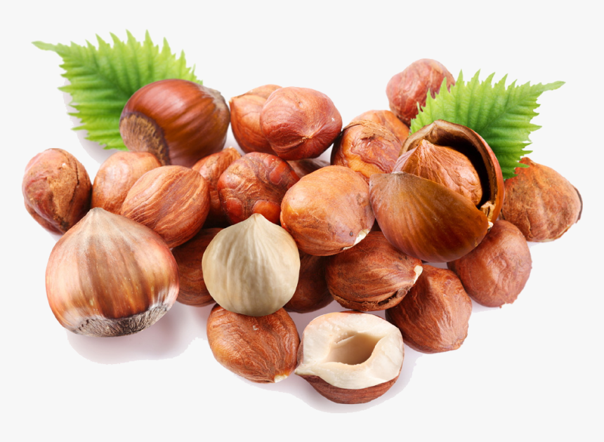 Shelled Hazelnut , Png Download - Hazelnut Png, Transparent Png ...