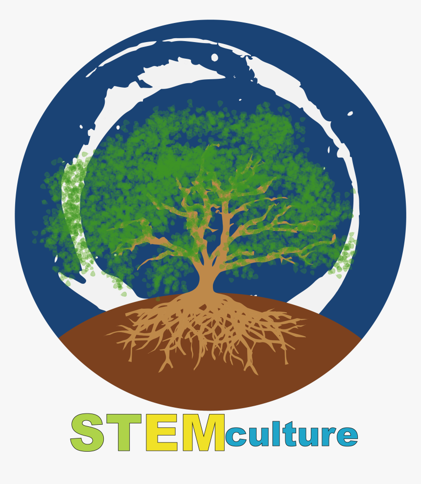 Stem, HD Png Download , Transparent Png Image - PNGitem