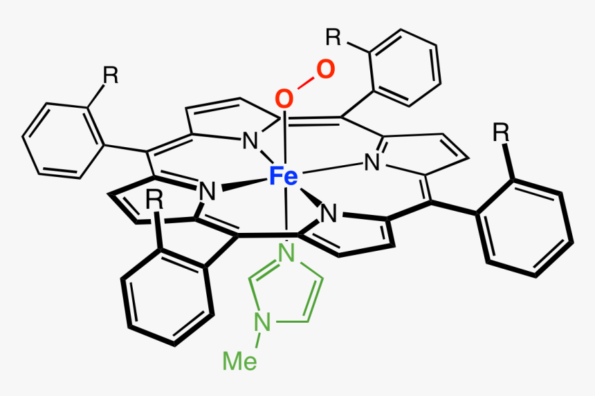File - - Myoglobin Png, Transparent Png , Transparent Png Image - PNGitem