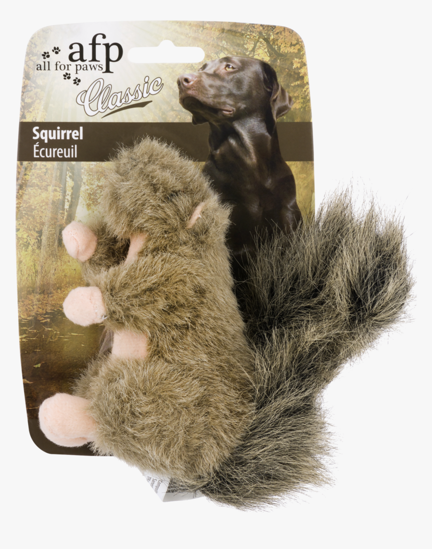 All For Paws, HD Png Download , Transparent Png Image - PNGitem