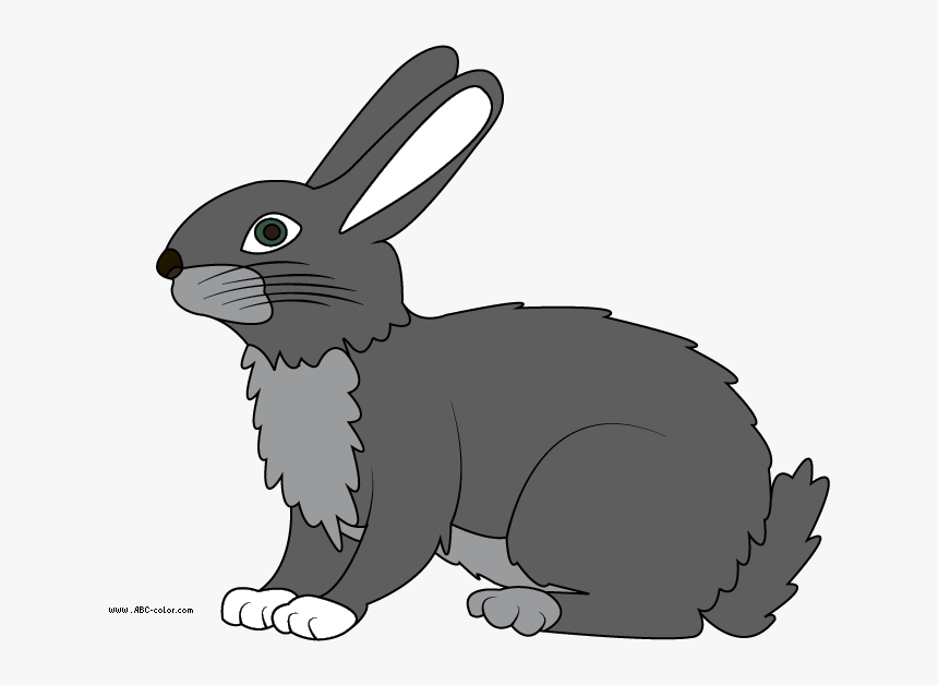 Hare - Clipart - - Hare Clipart, HD Png Download , Transparent Png ...