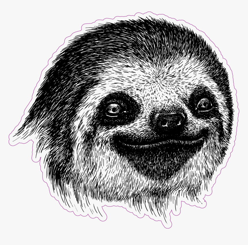 Sloth Face Png - Drawing Of A Sloth Face, Transparent Png , Transparent ...